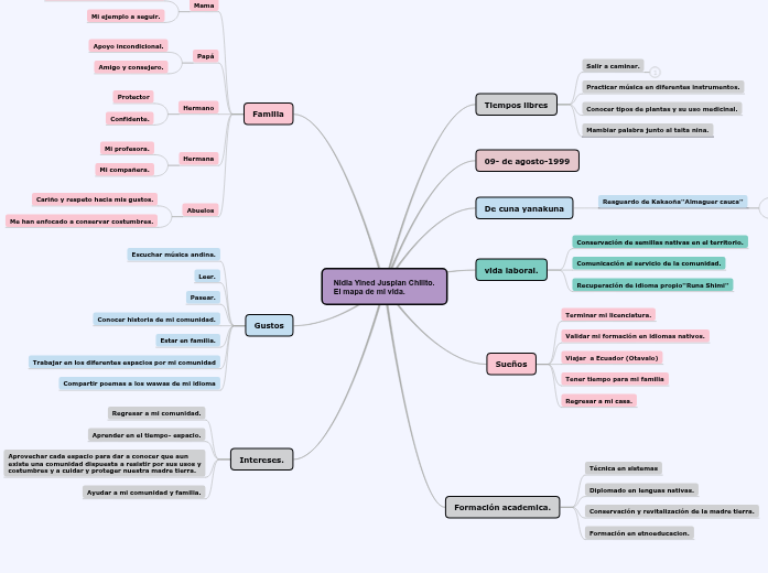 Nidia Yined Juspian Chilito. El mapa de mi...- Mind Map